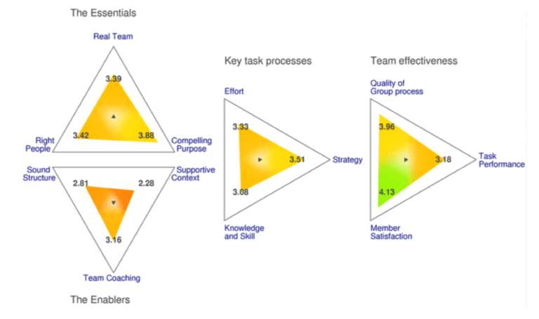 Team Diagnostic Survey | Boost Team Performance Fast